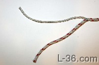 Splicing Amsteel to Sta-Set