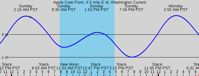 Apple Cove Point, 0.5 mile E of, Washington Current
