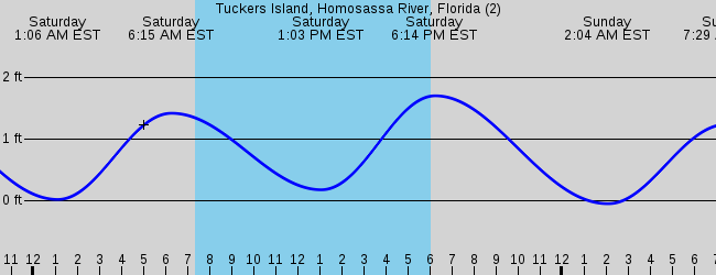 Tuckers Island, Homosassa River, Florida (2)